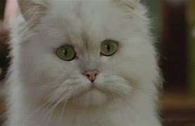 Mis primera página de contacto + tablas